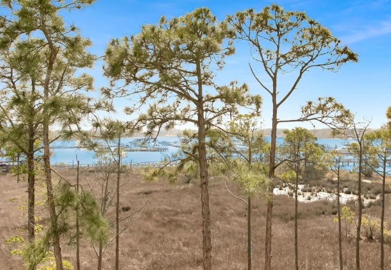 Village & The Grand Complex | Sandestin Golf and Beach Resort